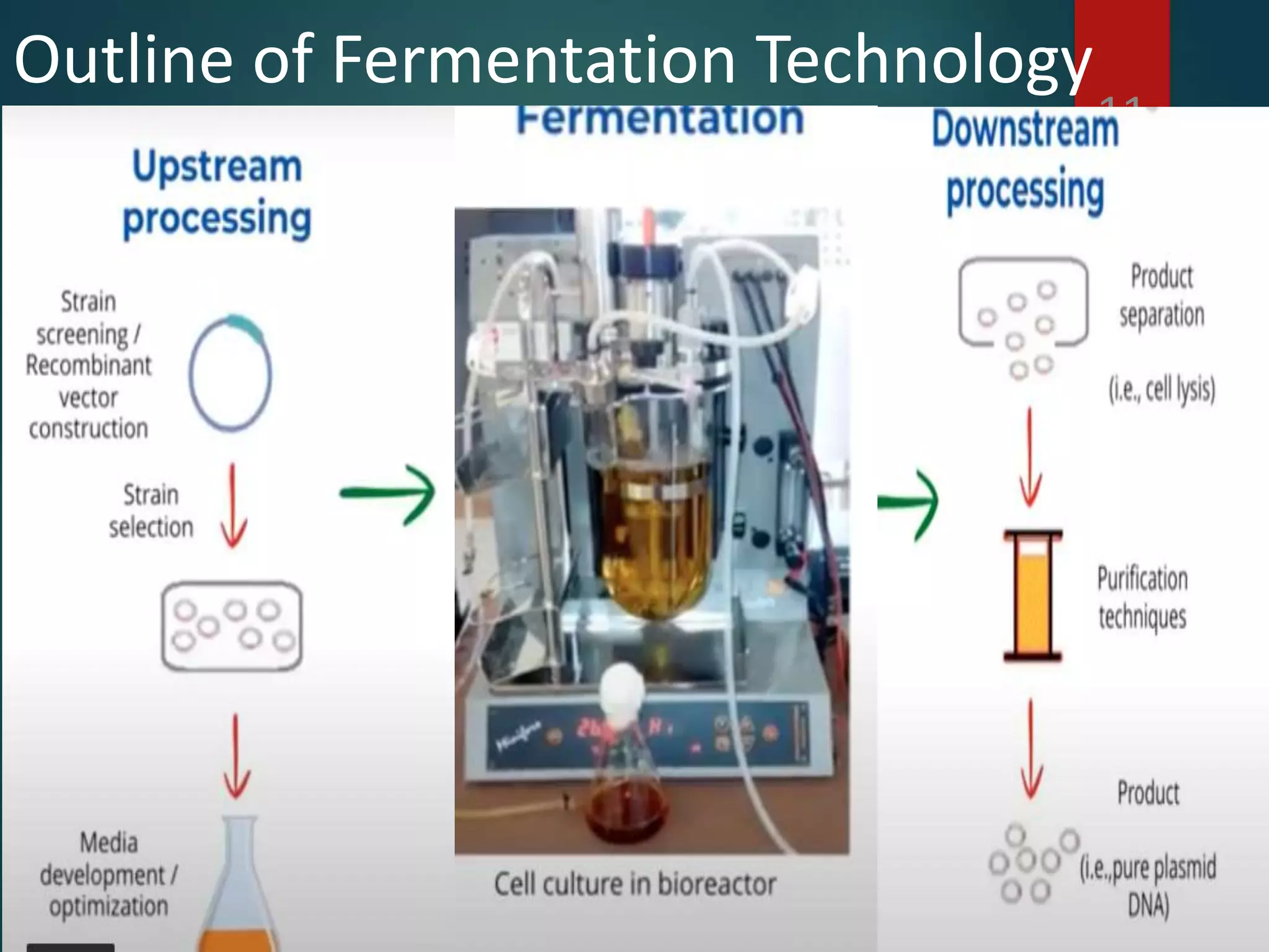 Bioprocess & Fermentation Technology | PDF