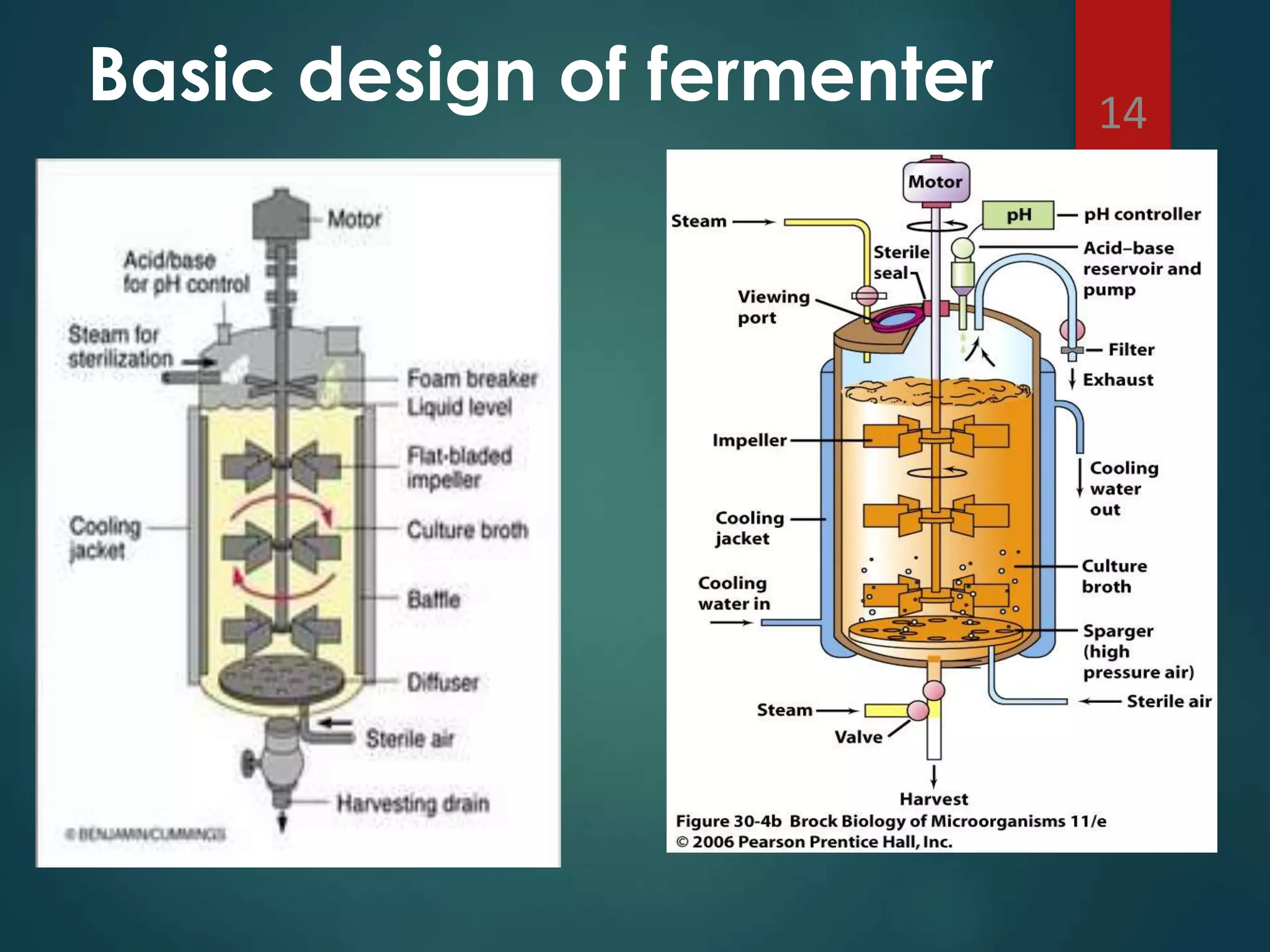 Bioprocess & Fermentation Technology | PDF | Biological Sciences | Science