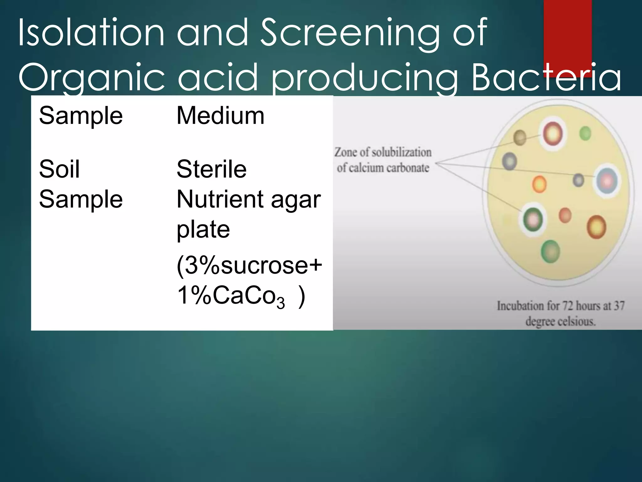 Bioprocess & Fermentation Technology | PDF