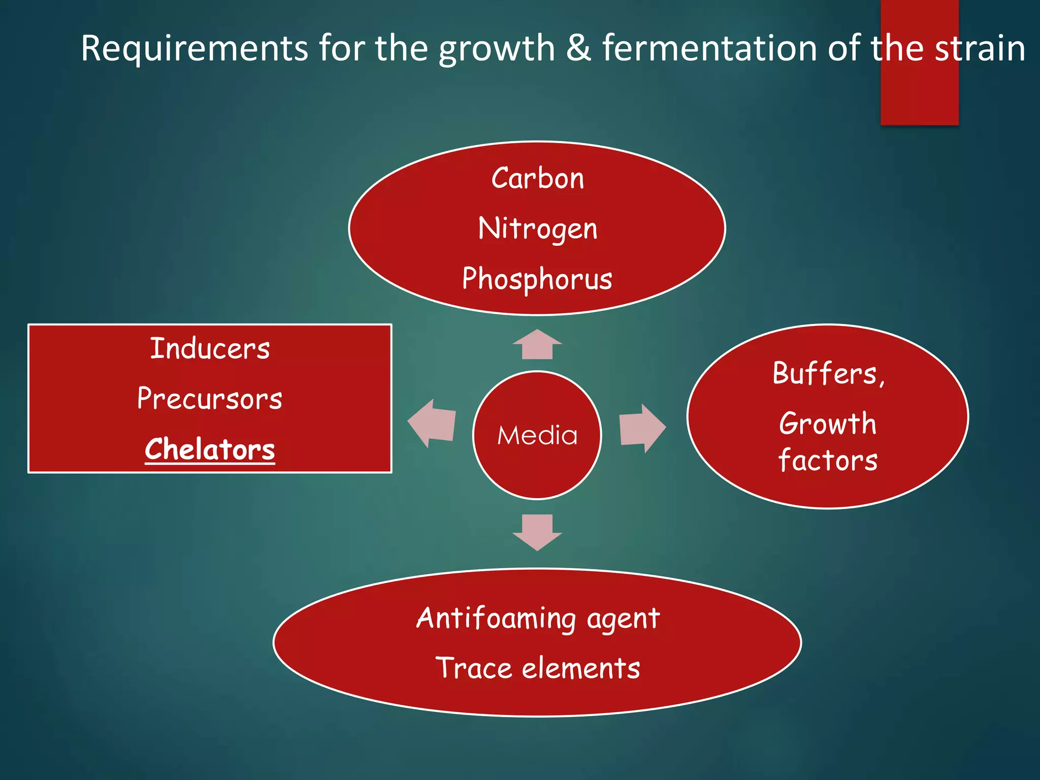 Bioprocess & Fermentation Technology | PDF