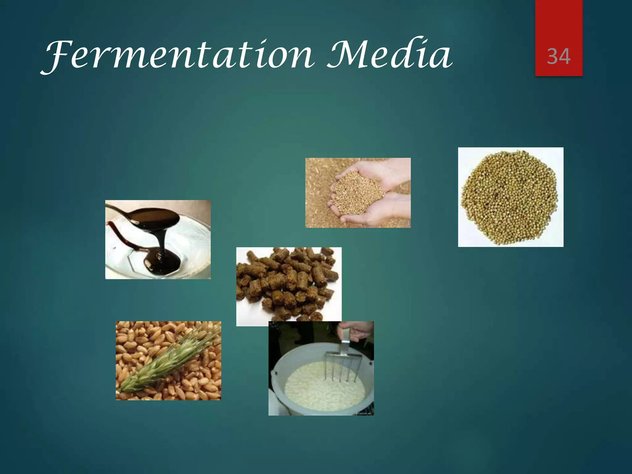 Bioprocess & Fermentation Technology | PDF