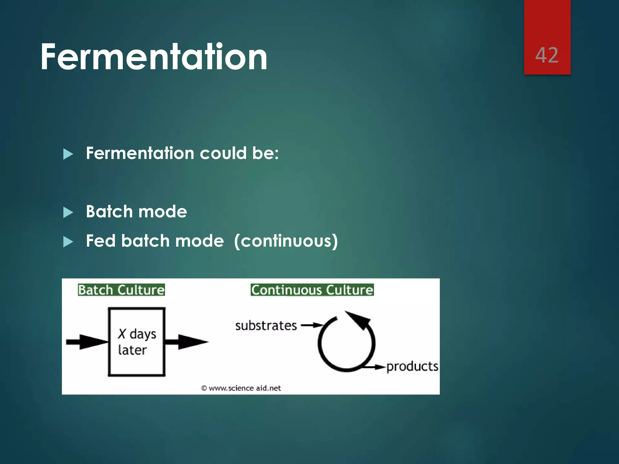Bioprocess & Fermentation Technology | PDF