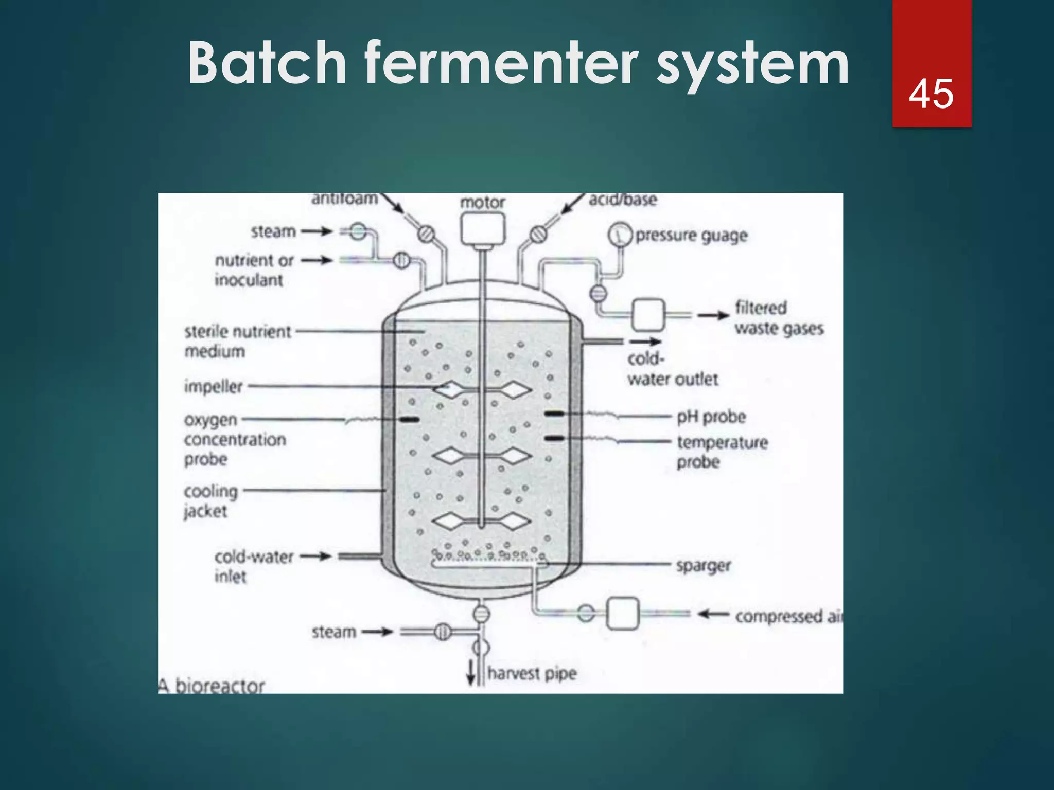 Bioprocess & Fermentation Technology | PDF | Biological Sciences | Science