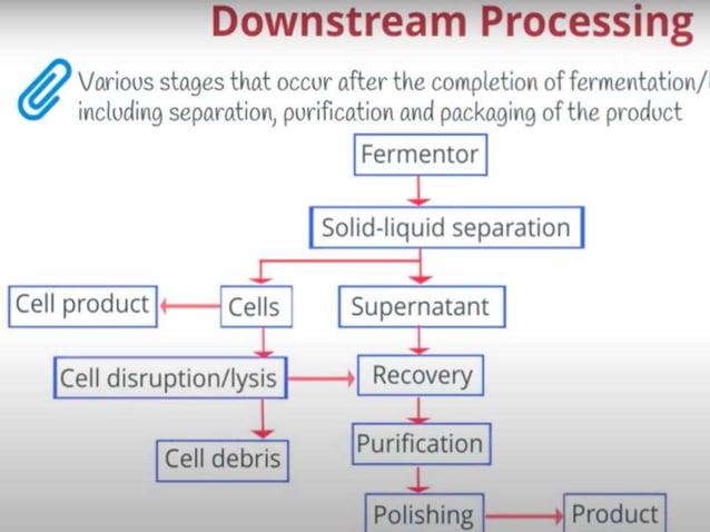 Bioprocess & Fermentation Technology | PDF | Biological Sciences | Science