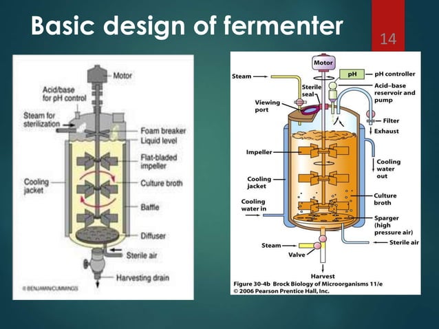 Bioprocess & Fermentation Technology | PPT