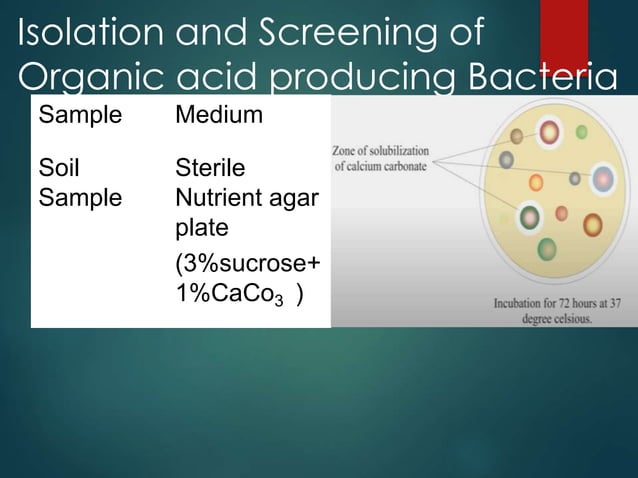 Bioprocess & Fermentation Technology | PDF | Biological Sciences | Science