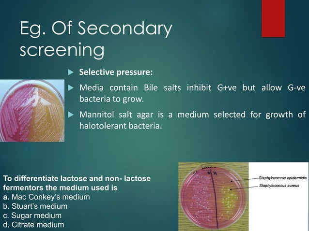 Bioprocess & Fermentation Technology | PDF | Biological Sciences | Science