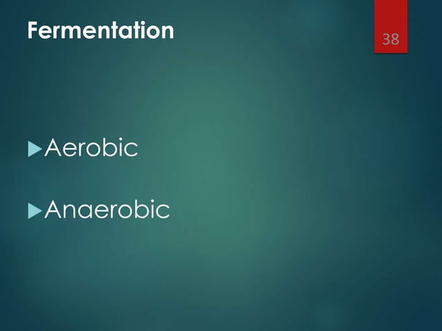 Bioprocess & Fermentation Technology | PDF | Biological Sciences | Science