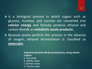 Bioprocess & Fermentation Technology | PDF