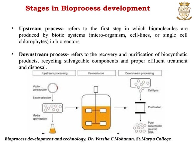 Biotechnology:Bioprocess development and technology | PPT