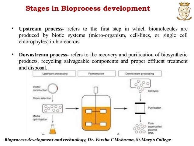 Biotechnology:Bioprocess development and technology