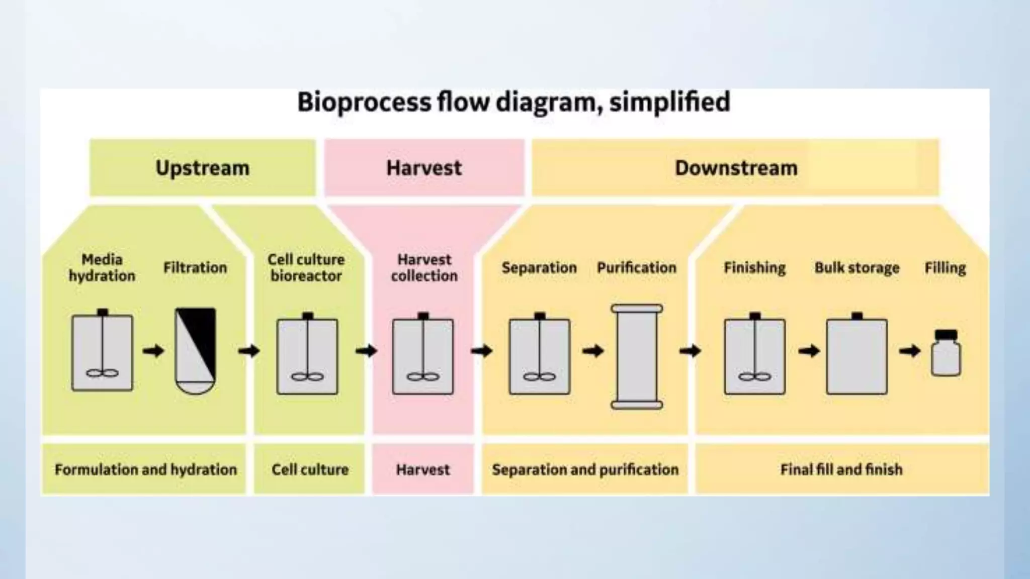 Bioprocess engineering | PPTX