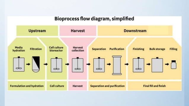 Bioprocess engineering | PPT