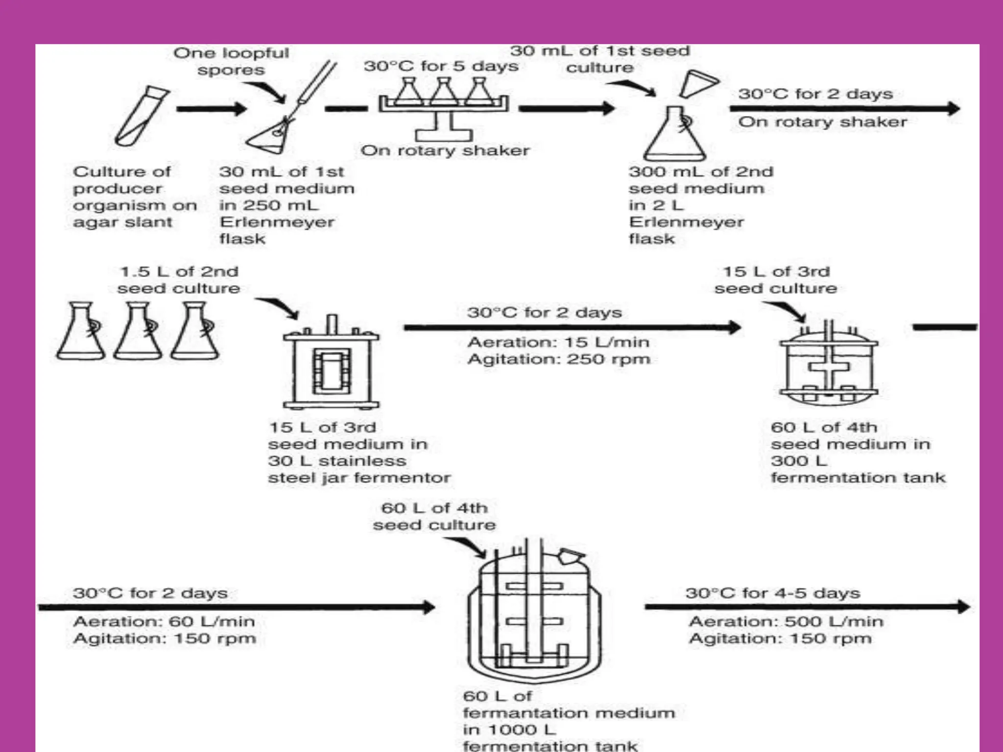 Upstream and Downstream Processing of Fermentation.pptx