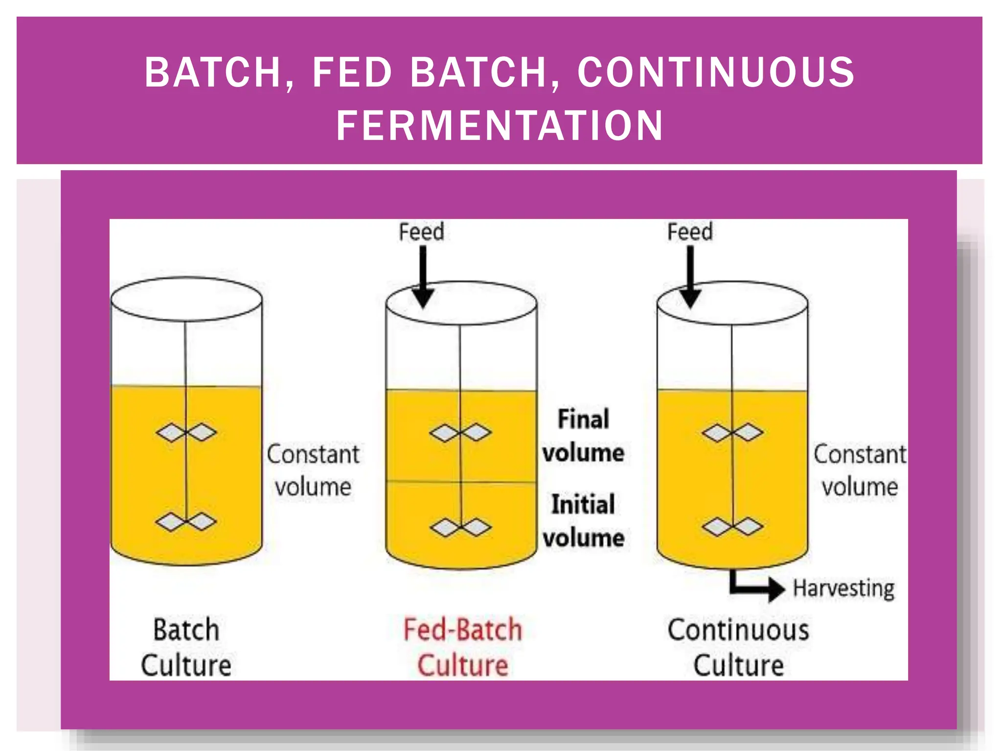Upstream and Downstream Processing of Fermentation.pptx