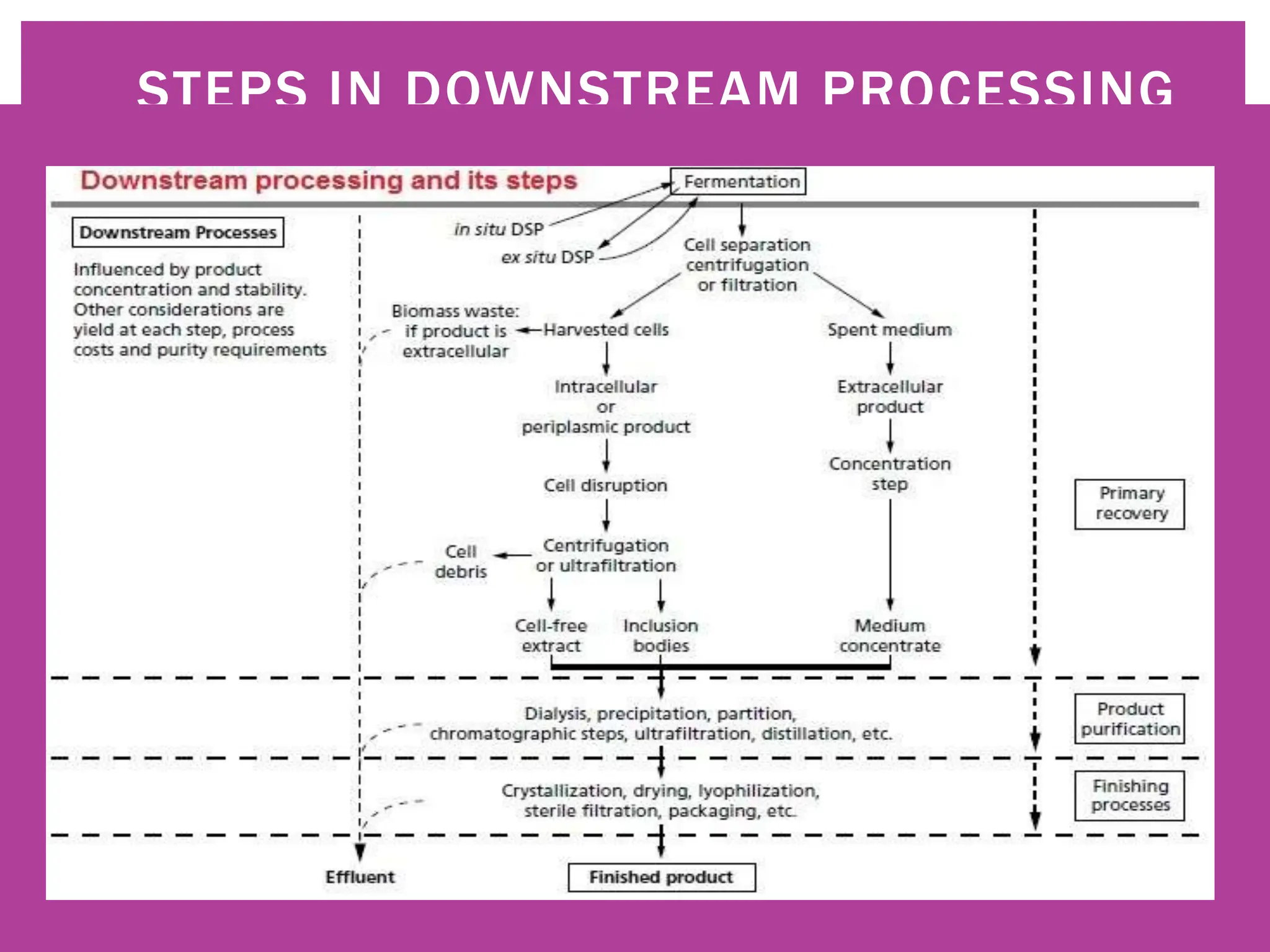 Upstream and Downstream Processing of Fermentation.pptx