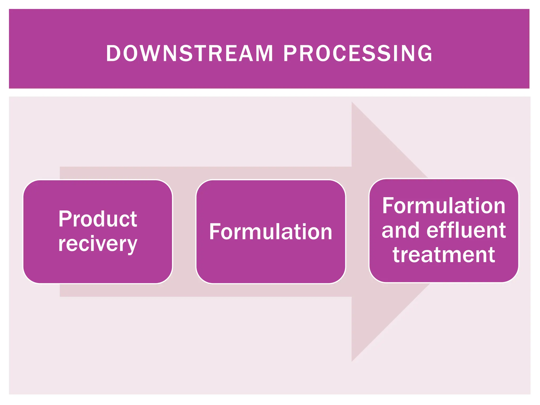 Upstream and Downstream Processing of Fermentation.pptx