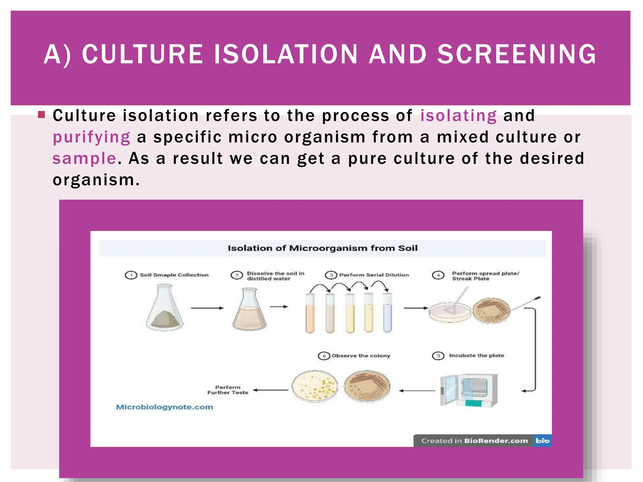 Upstream and Downstream Processing of Fermentation.pptx