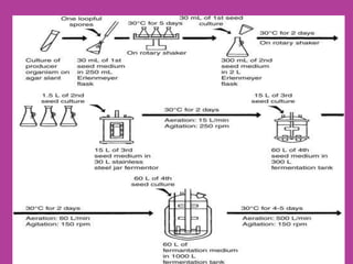 Upstream and Downstream Processing of Fermentation.pptx