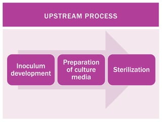 Upstream and Downstream Processing of Fermentation.pptx