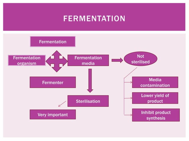 Upstream and Downstream Processing of Fermentation.pptx