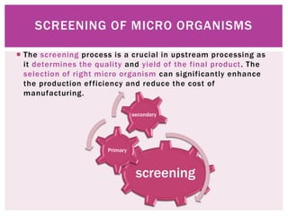 Upstream and Downstream Processing of Fermentation.pptx