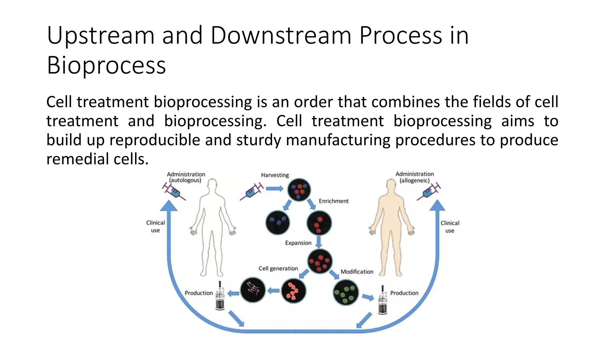 Bioprocessing and its significance | PPTX