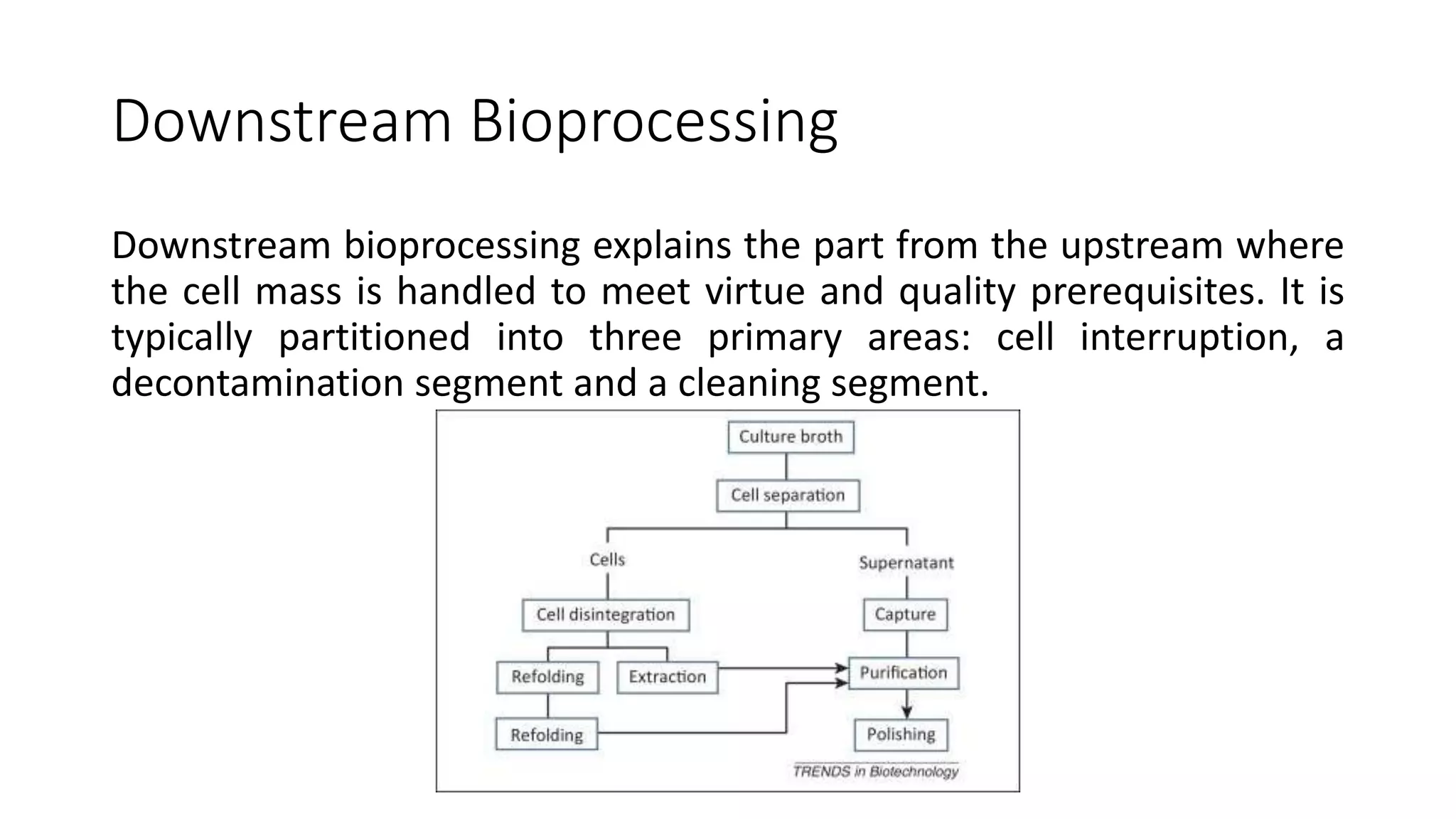 Bioprocessing and its significance | PPTX
