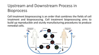 Bioprocessing and its significance | PPTX