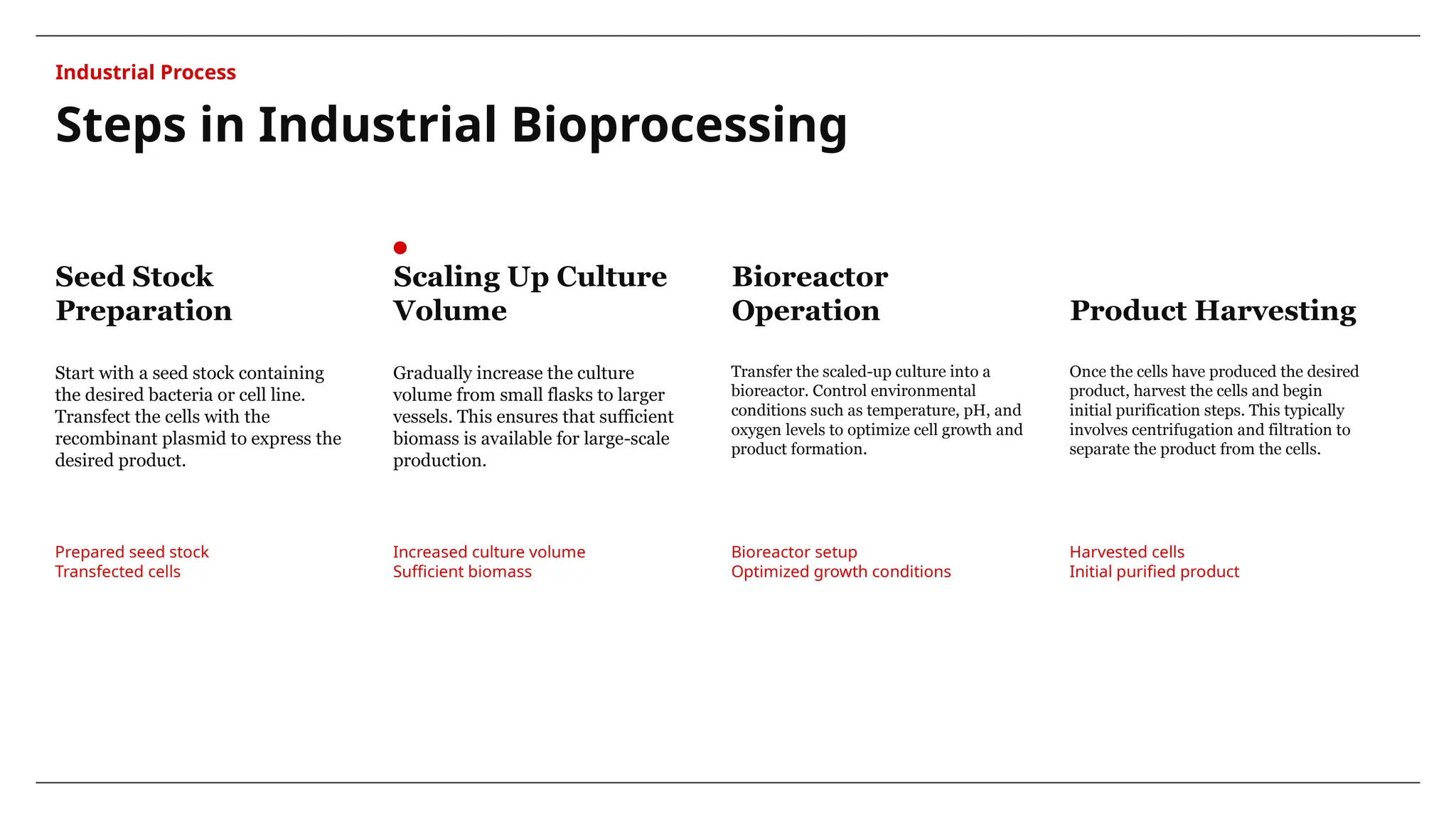 Bioprocessing Overview_ Upstream and Downstream Processes.pptx