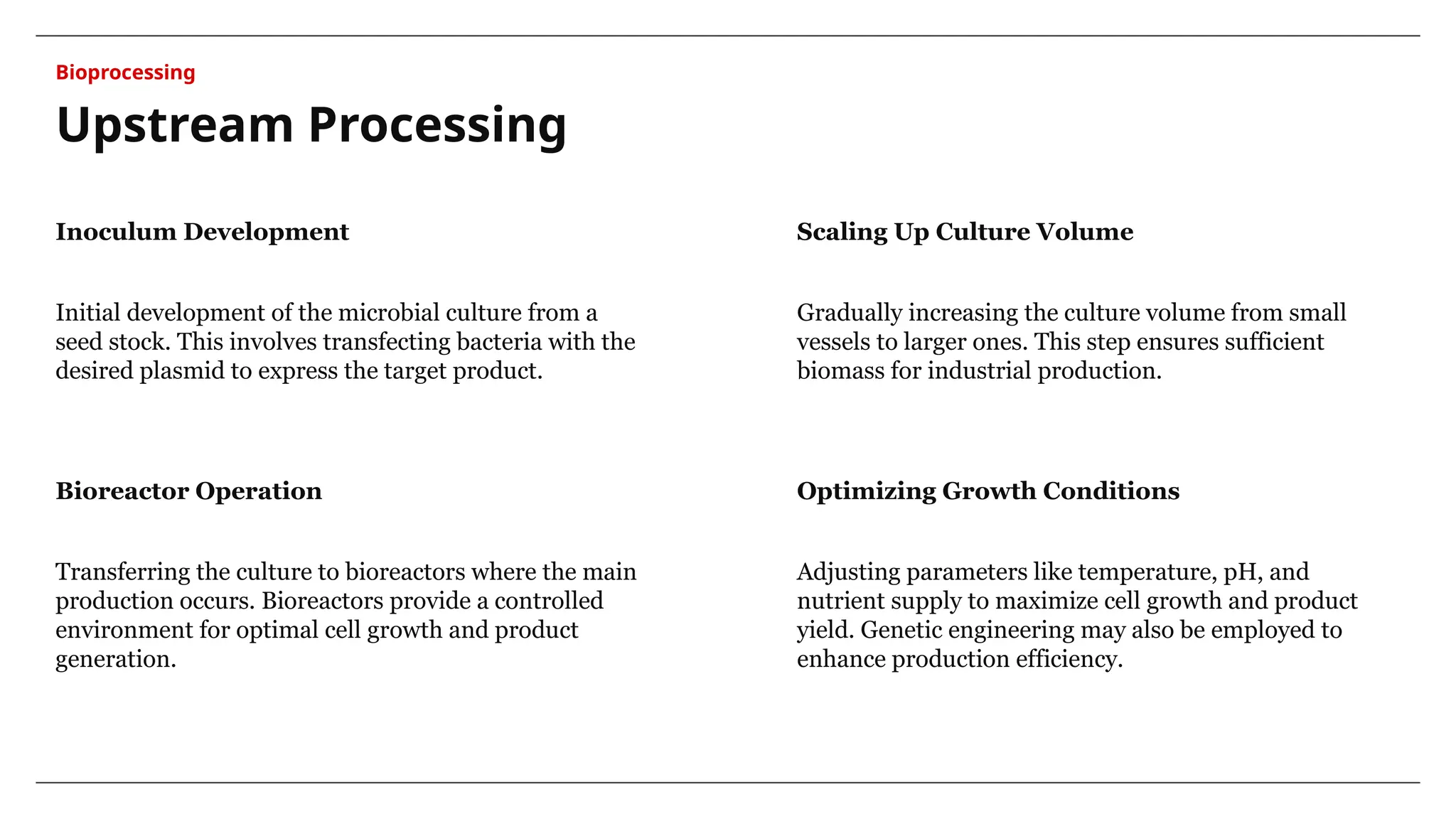 Bioprocessing Overview_ Upstream and Downstream Processes.pptx