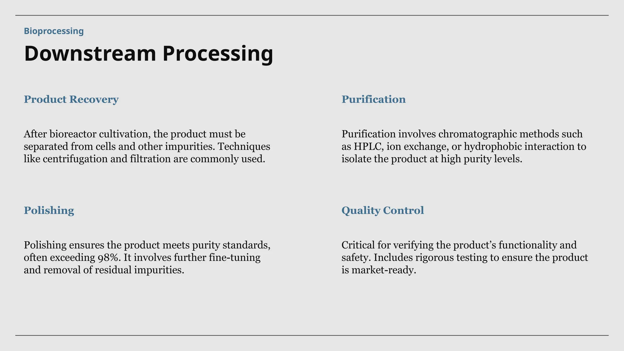 Bioprocessing Overview_ Upstream and Downstream Processes.pptx