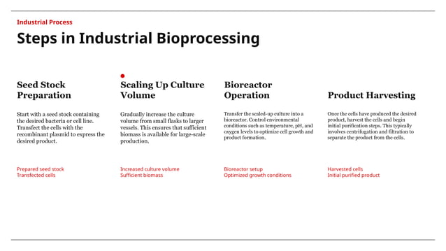 Bioprocessing Overview_ Upstream and Downstream Processes.pptx