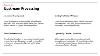 Bioprocessing Overview_ Upstream and Downstream Processes.pptx