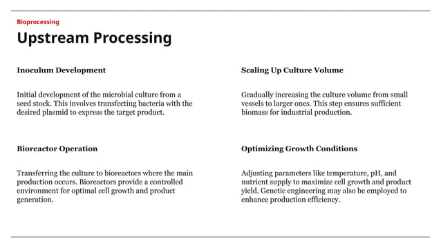 Bioprocessing Overview_ Upstream and Downstream Processes.pptx