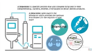 Bioprocessing Overview_ Upstream and Downstream Processes.pptx