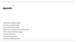 Bioprocessing Overview_ Upstream and Downstream Processes.pptx