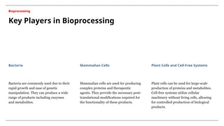 Bioprocessing Overview_ Upstream and Downstream Processes.pptx