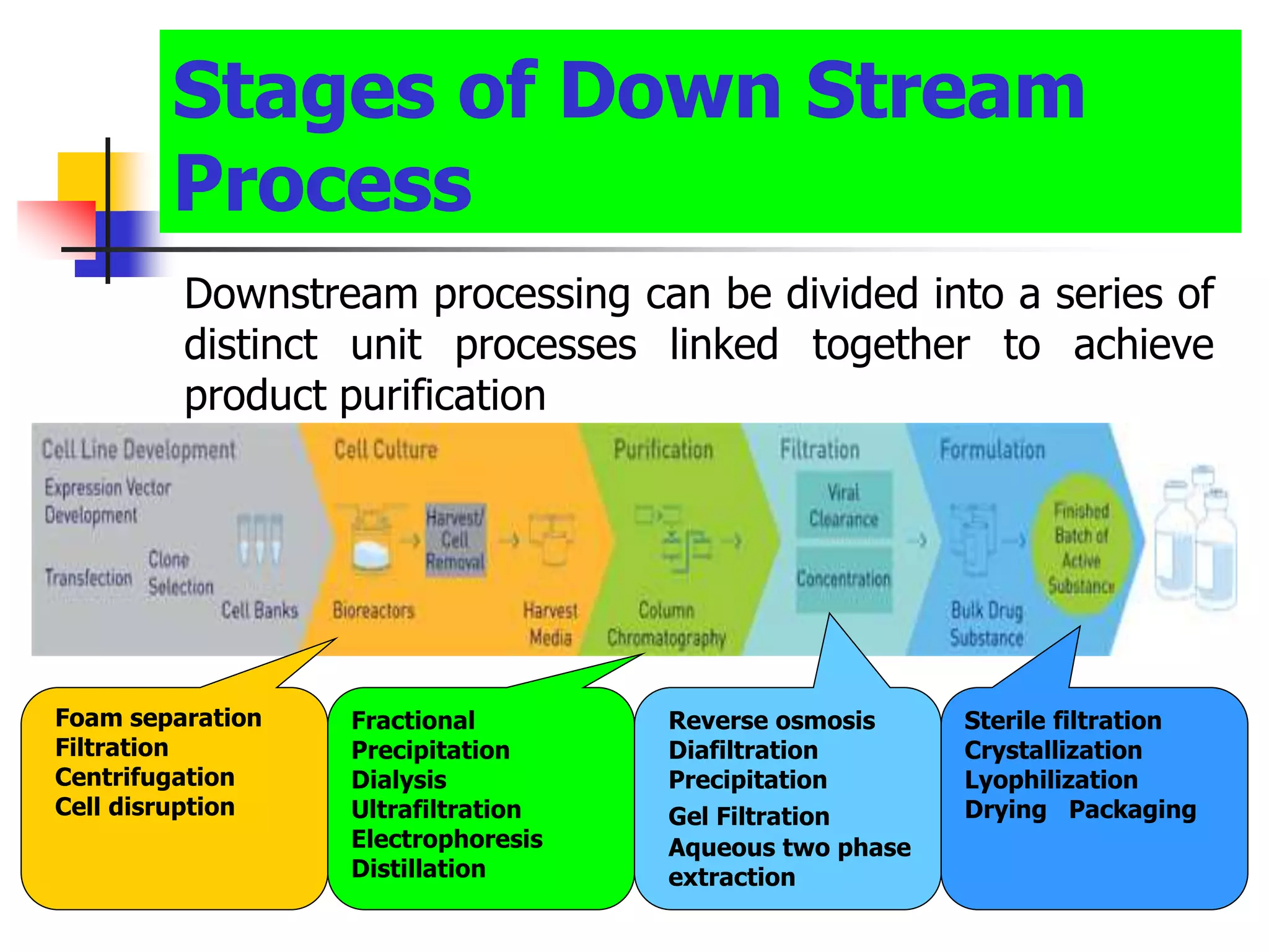 Bioprocessing techniques | PPT