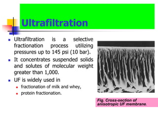 Bioprocessing techniques | PPT