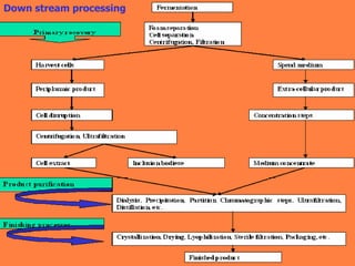 Bioprocessing techniques | PPT
