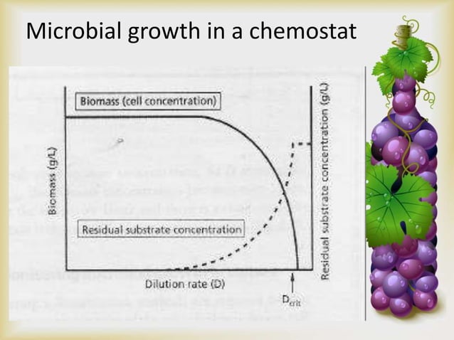 Modes of fermentation | PPTX | Biological Sciences | Science