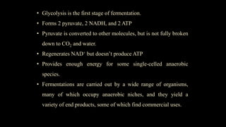 Bioprocess ppt | PPTX