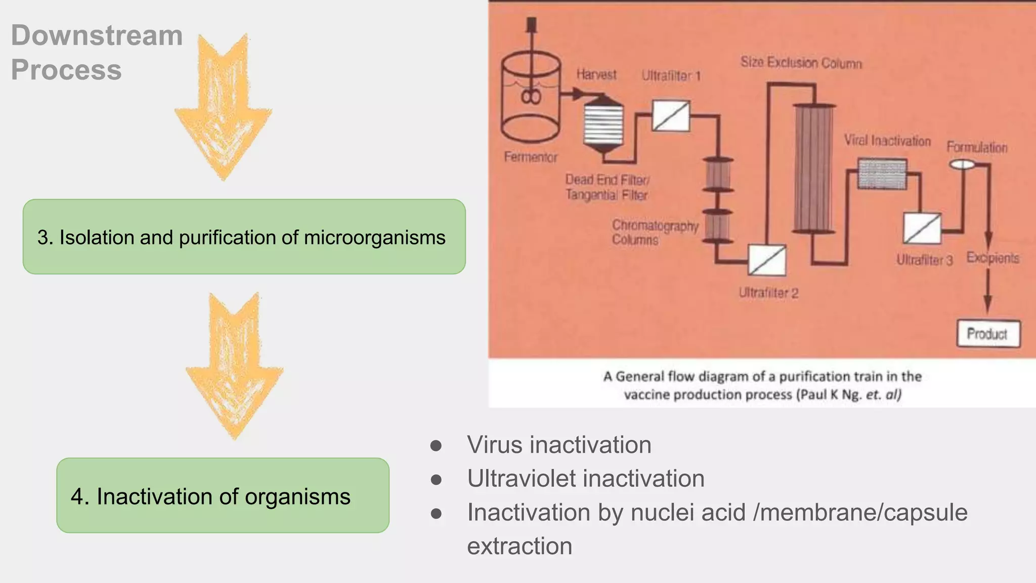 Industrial manufacturing of vaccines | PPTX