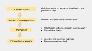 Industrial manufacturing of vaccines | PPTX