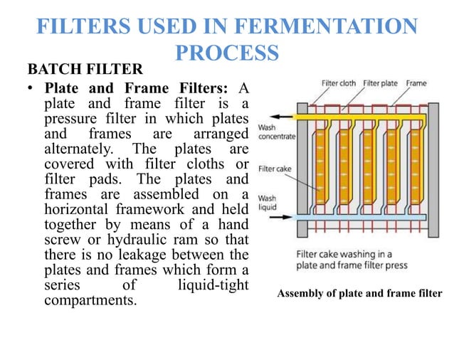 Bioprocess Presentation | PPTX | Physics | Science
