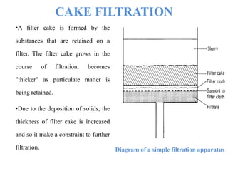 Bioprocess Presentation | PPTX
