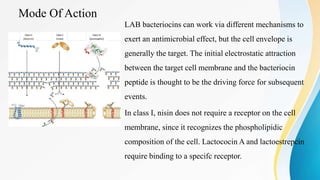 Bacteriocin From lactic acid bacteria | PPTX
