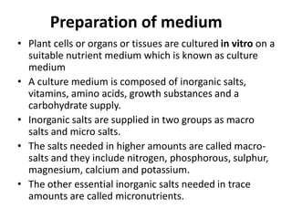 BIOPROCESS STRATEGIES.pptx
