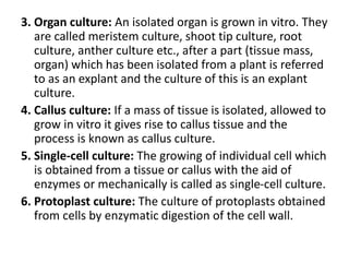 BIOPROCESS STRATEGIES.pptx